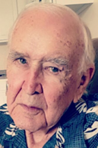 Daniel R. Mattison 1924-2020 | News, Sports, Jobs - Tribune Chronicle